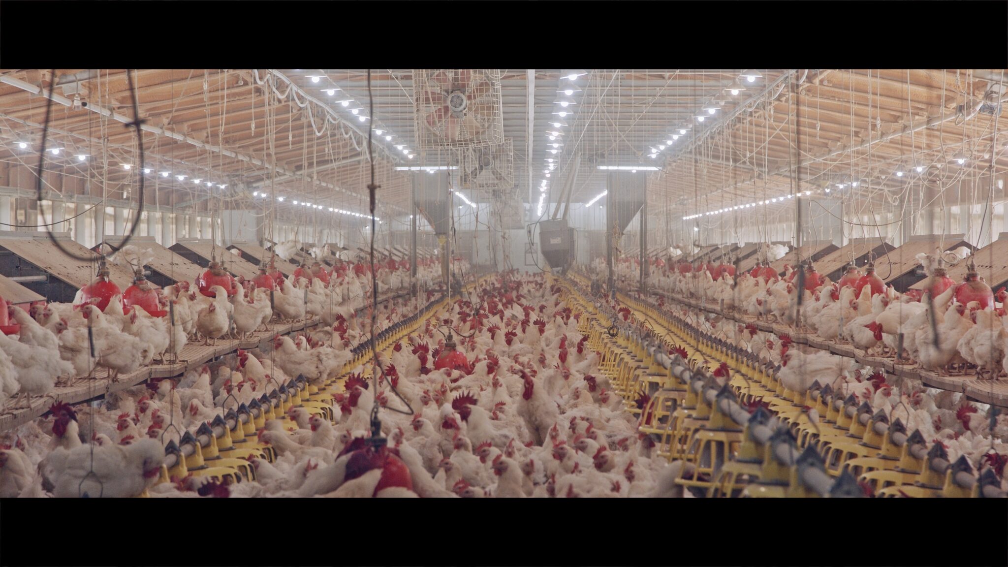 Mirabile Visione: Inferno, il docufilm nelle sale dal 2 ottobre